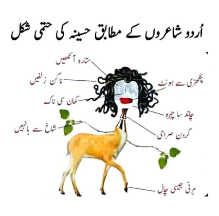 124 Best Images and Memes Trending in Pakistan in the Last 24 Hours ...